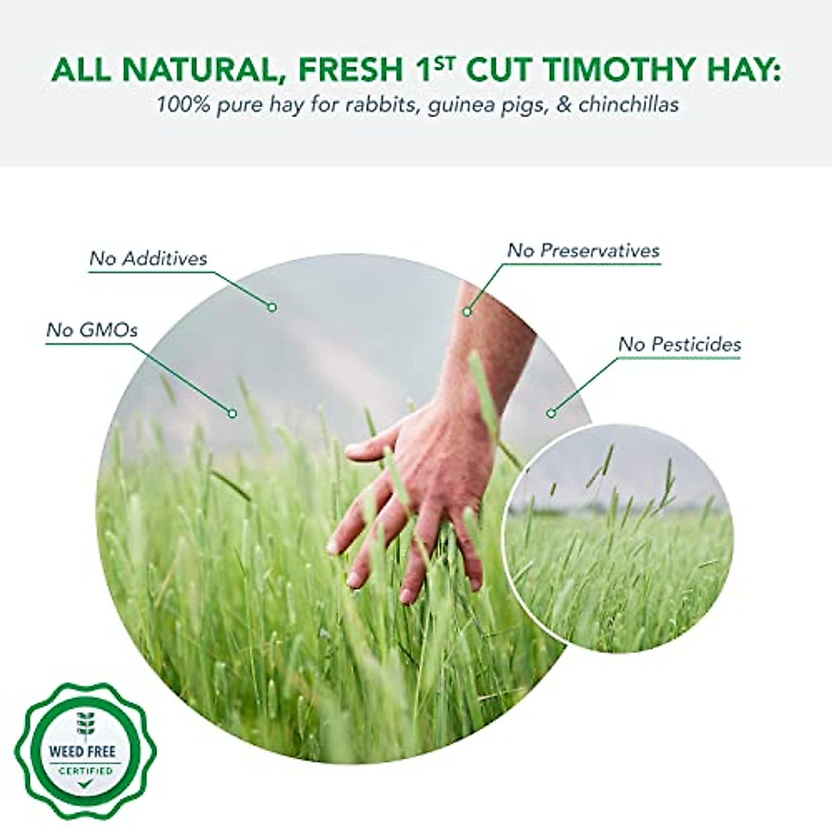 Viking Farmer 1st Cut Timothy Hay, 8 lbs