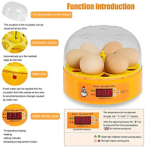 Eggs Incubators for Hatching Eggs,Automatic Egg Turner, Temperature Humidity Control,Egg Incubator Clear View,Egg Candler,Poultry Egg Incubator for Hatching Chicken Eggs, Quail Eggs, Duck Eggs, Turkey