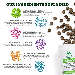 Doggie Dailies Probiotics for Dogs, 225 Soft Chews, Advanced Dog Probiotics with Prebiotics, Promotes Digestive Health, Supports Immune System and Overall Health (Pumpkin)