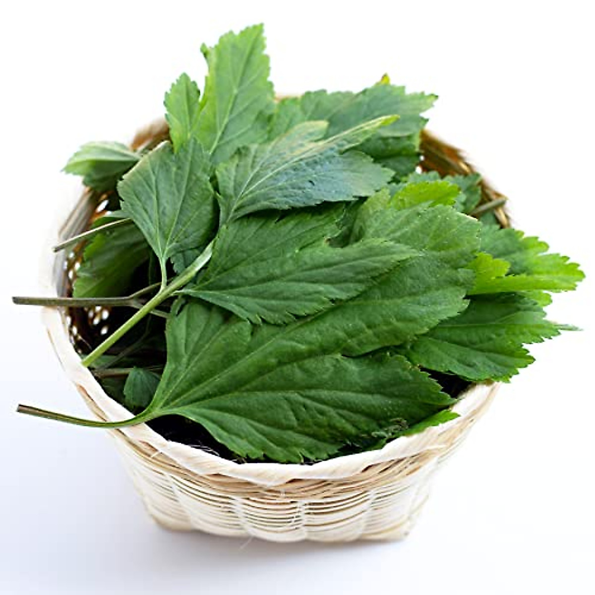 TKE Farms & Gardens - Mugwort Seeds for Planting, 500 mg, 4000+ Heirloom Seeds, Non-GMO, Instructions Included, Artemisia vulgaris, Qty 1