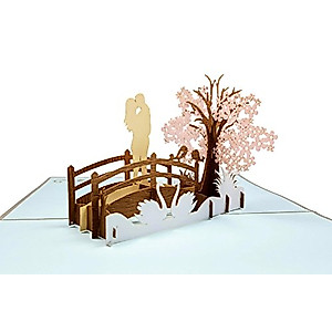 iGifts And Cards Happy 25th Anniversary 3D Pop Up Greeting Card -Soulmates, Celebration, Marriage, Being Together, Celebrate a Milestone, Silver Anniversary, Love Bridge, Congratulations, Romantic