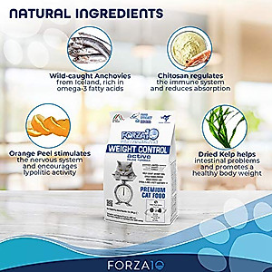 Forza10 Active Dry Weight Control Cat Food for Adult Cats, Dry Cat Food Weight Control for Overweight Cats and with Metabolism Disorders, Wild Caught Anchovy Flavor, 1 Pound Bag