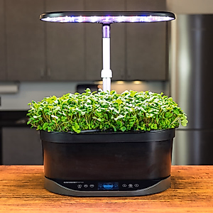 AeroGarden MicroGreens Kit for Bounty Gardens - Includes Seeds, Tray, and AeroFelt