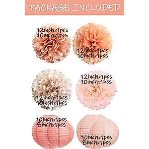 Hanging Party Decorations - Tissue Paper pom poms and Lanterns Backdrop Decor for Engagement Wedding Birthday Bridal Shower Bachelorette (Rose Gold)