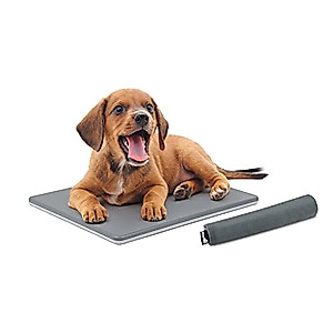 Pecute Outdoor Pet Heating Pad, Waterproof ABS Hard Shell, Constant Temperature Heating, High Temperature Protection, Anti-Electric Shock, Heated Pet Mat with Chew Resistant Cord and Washable Cover