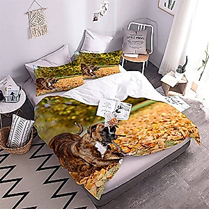 Quilt Cover Queen Size Boxer Dog 3D Bedding Sets Autumn Leaves Duvet Cover Breathable Hypoallergenic Stain Wrinkle Resistant Microfiber with Zipper Closure,beding Set with 2 Pillowcase