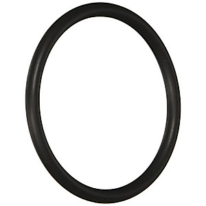 Hayward SX220Z2 Large O-ring Replacement for Hayward Pump and Filter