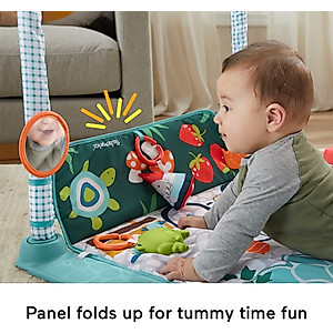 Fisher-Price Baby Playmat 3-in-1 Crawl & Play Activity Gym, Cottage Theme with Tunnel & Developmental Toys for Newborns 0+ Months