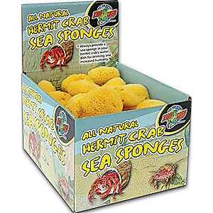 Zoo Med Hermit Crab Sea Sponge