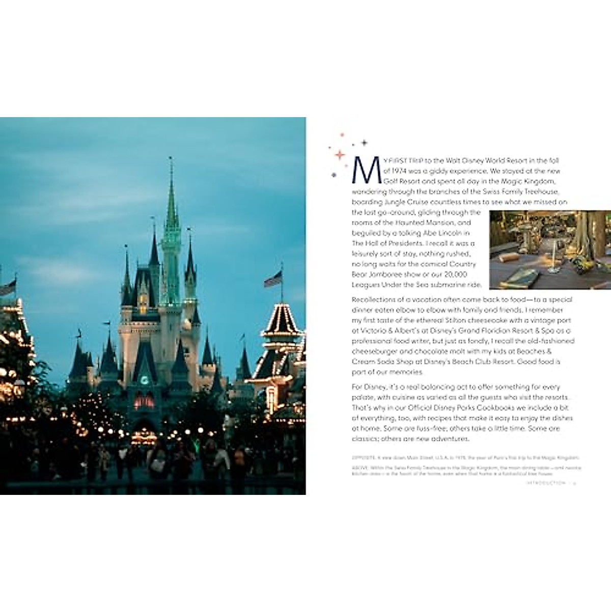 The Official Disney Parks Cookbook: 101 Magical Recipes from the Delicious Disney Vault