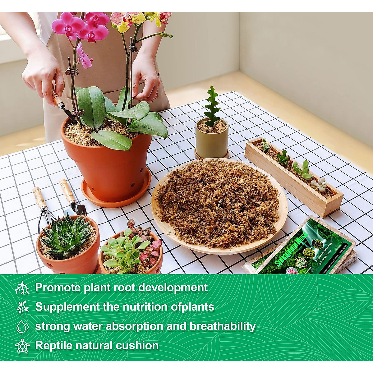 Mostopiaryart Sphagnum Moss Perfect for Plant Propagation, Extremely Strong Water Absorption Ability, Help with Maintain Humidity(3.5OZ)