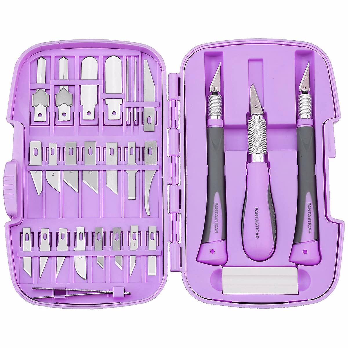 FantastiCAR Craft Knife Precision Cutter Hobby Knife Blades Set (30pcs) for Art Work, Scrapbooking, Stencil, Architecture Modeling, Wood Leather Working (Purple)