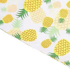 Pinsofy Reptile Rocking Bed 2 Pack Machine Washable Lizard Hammock for Bearded Dragon for Hamster Yellow Pineapple Size M