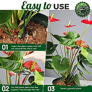 LEOBRO 6 Pack Plant Stakes for Flowers, Metal Single Stem Plant Support, Garden Plant Stakes for Amaryllis Orchid Lily Rose Tomatoes, Dark Green, 40.5 CM/15.9 INCH