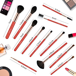 Makeup Brushes Set Professional from an Array of Eyeshadow Foundation Brushes to a Concealer Brush to Eyelash and Blusher Brushes 12 Pcs Make up Brush Kit -the Makeup World is Truly Your Oyster.