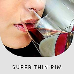 Bezrat Stemless Wine Glasses Set of Two | Hand Painted Large Premium Red and White Wine glasses | Lead-Free Crystal | Essential Wine Gift | 18 Ounces (Red)