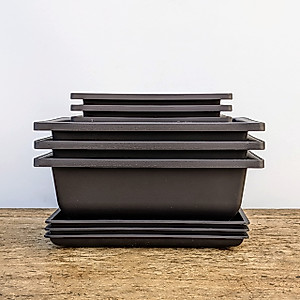 Tinyroots Bonsai Training Pots with Humidity Trays - Built in Mesh, 6" and 8" Large Planter Combo Pack + Made from Durable Shatter Proof Poly-Resin (Set of 6 Pot Set)…