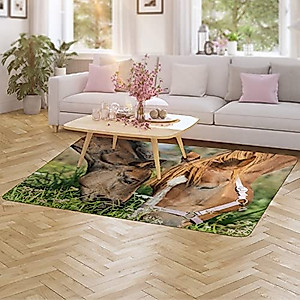 ERUXUGB Cutest Baby Animals | Horse Colt Coral Velvet Floor mat（150×100cm）