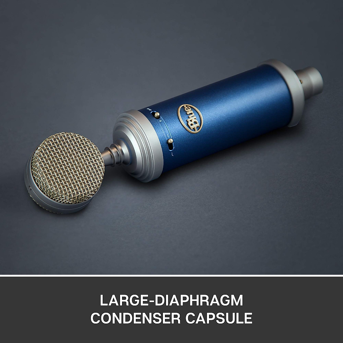 Blue Microphones Bluebird SL Large-Diaphragm Condenser Microphone (Renewed)