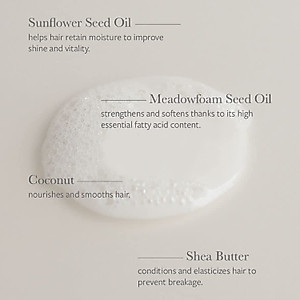 Seed Phytonutrients - Natural Moisture Shampoo | Sustainable, Vegan Clean Beauty (8.5 fl oz | 250 ml)