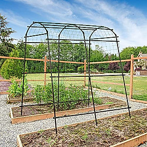 Lalahoni Garden Arch Trellis for Climbing Plants Outdoor - 7 ft Tall Arbor Large Tunnel Trellis, Metal Plant Support Archway for Climbing Vine Vegetables/Fruits/Flowers Yard Lawn - Lightweight, Black