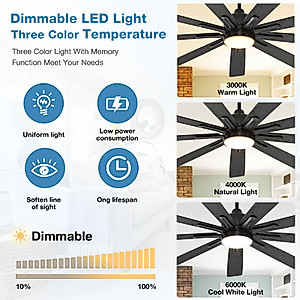 warmiplanet Ceiling Fan with Lights Remote Control, 62-Inch, Silent DC Motor, 6 Speed, Dimmable LED Light, Black(9-Blades)