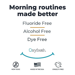 Premium Oxyfresh Pro Formula Fresh Mint Mouthwash – Patented Zinc Mouthwash for All Day Fresh Breath & Healthy Gums – Refreshing & Alcohol Free Mouthwash | 16oz