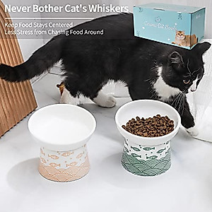Ceramic Raised Cat Bowls, Elevated Tilted Cat Food and Water Bowl Set, Porcelain Stress Free Pet Feeder Dish for Cats and Small Dogs, Dishwasher and Microwave Safe, Set of 2
