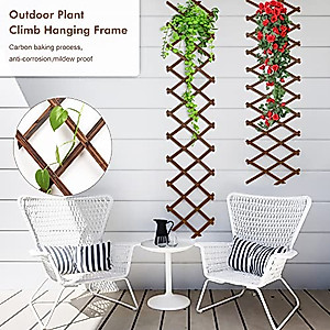 Expandable Wooden Lattice Frame - Hanging Plant Trellis Frame for Wall Climbing Plants Vines - Wall Art Freedom Lattice for Room Decor - Small Wood Fence Panel for Space Separate