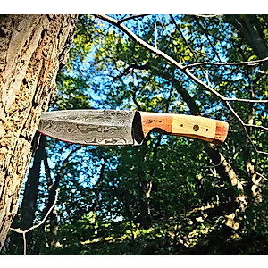 Titan International Knives 8.2" Damascus Steel Fixed Blade Hunting Knife | Handmade 1095 4340 Carbon Mix Hand Pounded | EDC Black Walnut and Olive Wood Handle | Leather Sheath Multi Purpose Survival and Camping Knives