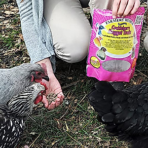 Farmers' Helper Cackleberry Nugget Treat For Chickens, Turkeys, Peafowl, Guinea Fowl, Geese, Pheasants and Ducks, 27 Ounce