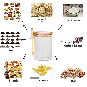 LEAVES AND TREES Y Glass Jars with Bamboo Lids and Spoon, 17 OZ Set of 3 Small Glass Sugar Container with Wooden Lids and Scoop, Coffee Tea Jars for Loose Tea, Coffee Bar Containers