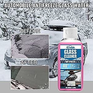 RAYHONG 2Pcs Windshield Washer Fluid Concentrate, Multi-Surface Glass Cleaning, Car Antifreeze Glass Water - 100ML