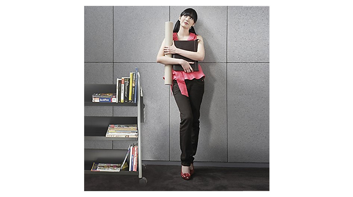 Safco Scoot Double-Sided Book Cart for Home & Office