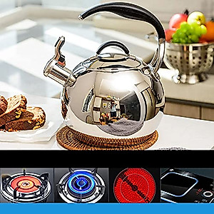 ArrAze Tea Kettle Stovetop Whistling Suitable for Stove Tops 3L Modern Brushed Steel Polished Kettle with Ergonomic Handle Can Make Boil Milk or Coffee
