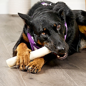 Treatly American Sourced Beefhide Rolls 8-9" Dog Chew Treats - Natural Flavor, 10 Count/1 Pack