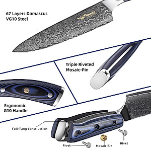 VINNAR Damascus Chef Knife, Japanese VG-10 Super Sharp 8 inch Professional Kitchen Knives, Ergonomic Blue G10 Handle，Sharpest Cooking Knife Best Choice for Home Kitchen and Restaurant