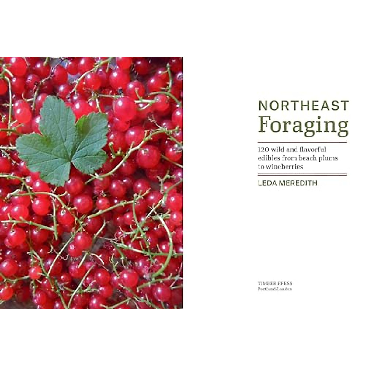 Northeast Foraging: 120 Wild and Flavorful Edibles from Beach Plums to Wineberries (Regional Foraging Series)