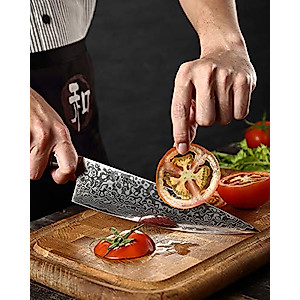 HEZHEN-67 LAYES Damascus Steel Kitchen Knife Set 2PCS,8.3'' Chef knife 5" Utility Knife Figured Sycamore Wood Handle with Gift Box