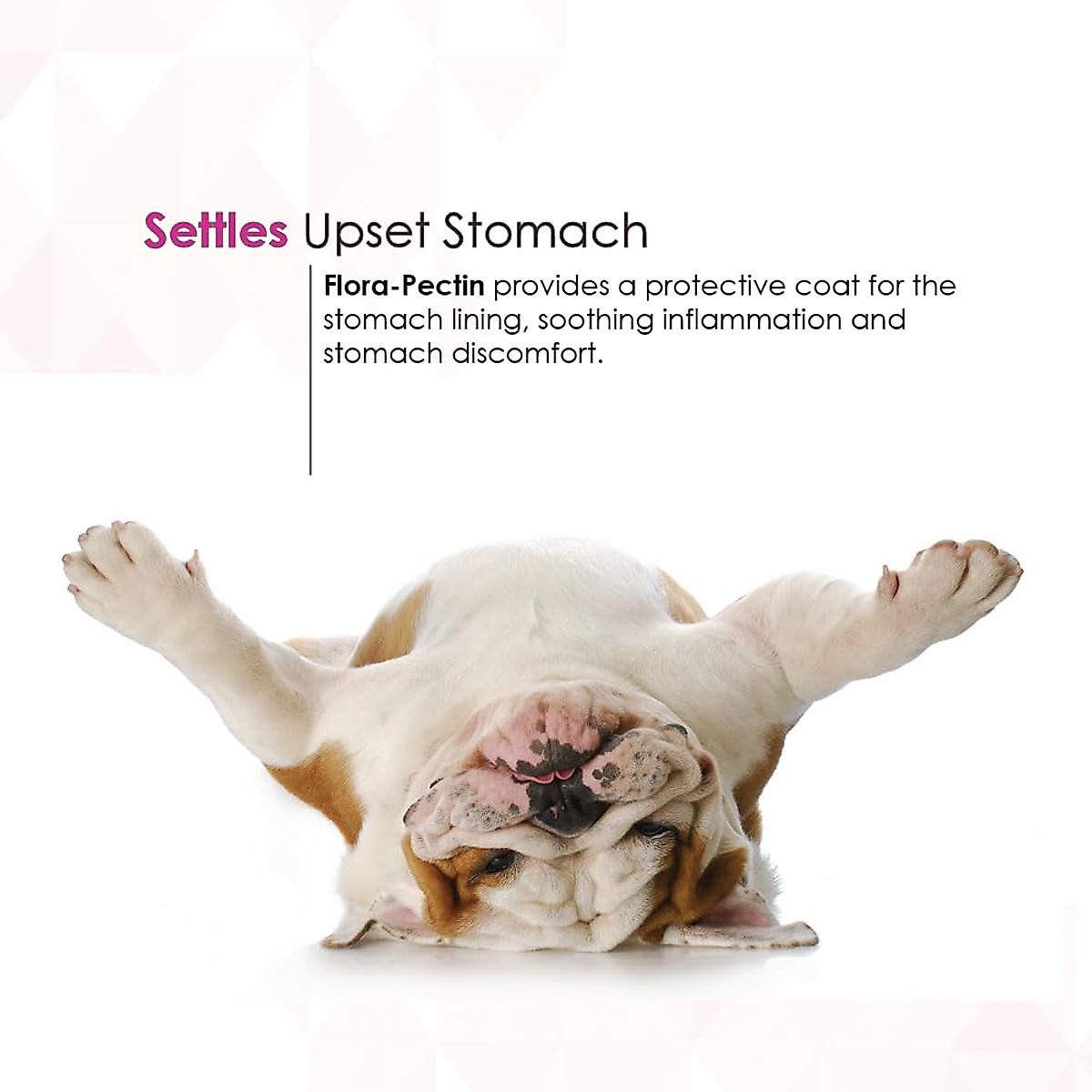 Oral Paste for Dogs & Cats-Helps Reduce Occasional Loose Stool & Diarrhea, Balance Gut pH, Support Normal Digestion & Intestinal Flora-Fast Acting (15 CC - Tasty Chicken Flavor)