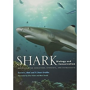 Shark Biology and Conservation: Essentials for Educators, Students, and Enthusiasts