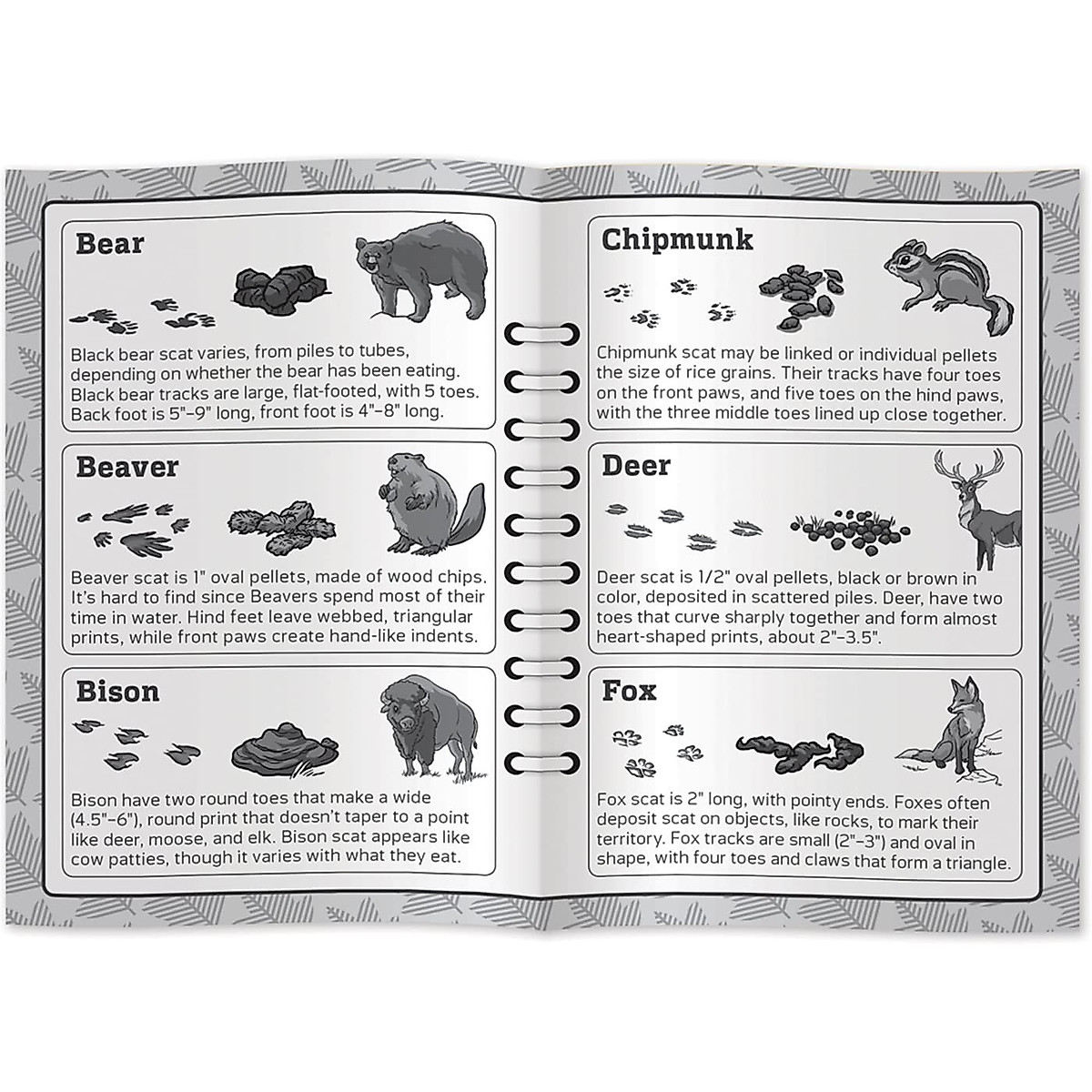 Masterpieces Jr Ranger Poop Tracks Card Game, Ages 6+, 2-6 Players, Medium