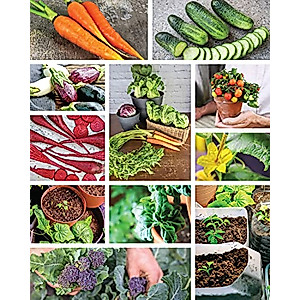 How to Garden Indoors & Grow Your Own Food Year Round: Ultimate Guide to Vertical, Container, and Hydroponic Gardening (Creative Homeowner) Vegetables, Herbs, DIY Projects, Composting, Lights, & More