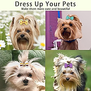 Yxiang 100PCS Dog Bows, Cute Dog Hair Bows Yorkie Puppy Bows with Rubber Band Pet Grooming Bows Colored Polka Dot Dog Hair Accessories for Small Dog - 50 Pairs
