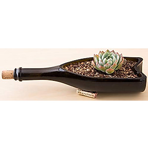 Bonsai Jack Succulent and Cactus Soil - Jacks Gritty Mix #111 - 2 Quarts – Fast Draining – Fight Root Rot – Optimized pH