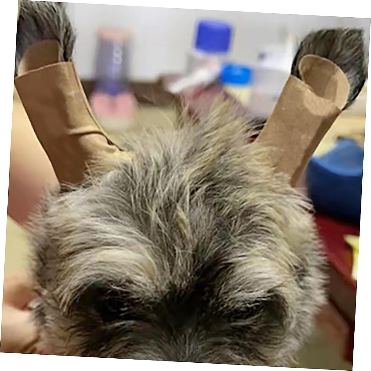 BESPORTBLE 2 Pairs Ear Patch Puppy Dog Ear Cleaner Dog Posting Kit Safety Dog Ear Support Doberman Dog Ear Posting Supplies Ear Forms for Dogs Large Dog Ear Correction Accessory Milk