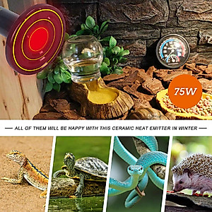 HANJION 75W Ceramic Heat Lamp, Infrared Reptile Heat Emitter Heater Lamp Bulb for Pet Brooder Coop Chicken Lizard Turtle Snake Aquarium, No Light Emitting No Harm - 2 Pack