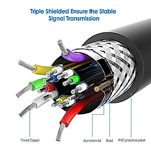 Rankie DisplayPort (DP) to HDMI Cable, 4K Resolution Ready, 6 Feet