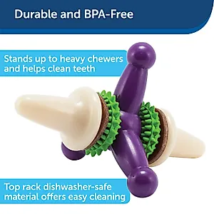 PetSafe Treat Rings for Busy Buddy Dog Toys - Easy to Digest - Interactive Toy Refills for Aggressive Chewers & Anxiety - 16 Rings - Size B - Original & Busy Buddy Jack Medium