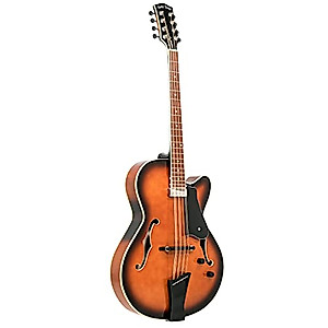 Gold Tone Mandocello: Mandocello with Pickup and Case